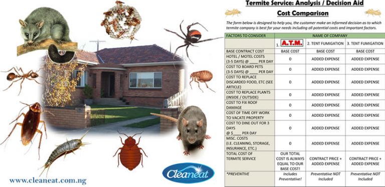 Costs of Fumigating a House in Nigeria - Cleaneat.NG