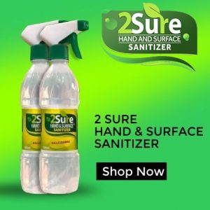 2Sure Hand Sanitizer Liquid Spray (500ml) - Cleaneat.NG