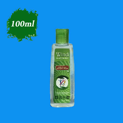 Wind Hand Sanitizer 100ml x 48 - Cleaneat.NG